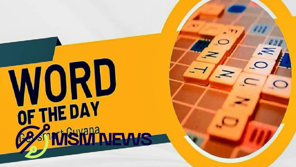 WORD OF THE DAY: OSTENSIBLE - MSM News